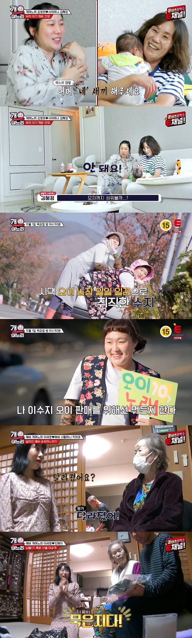 이경실 子 손보승 사고 쳐서 결혼 엄청 혼내며느리·손자 최근에 받아들여 개며느리 종합
