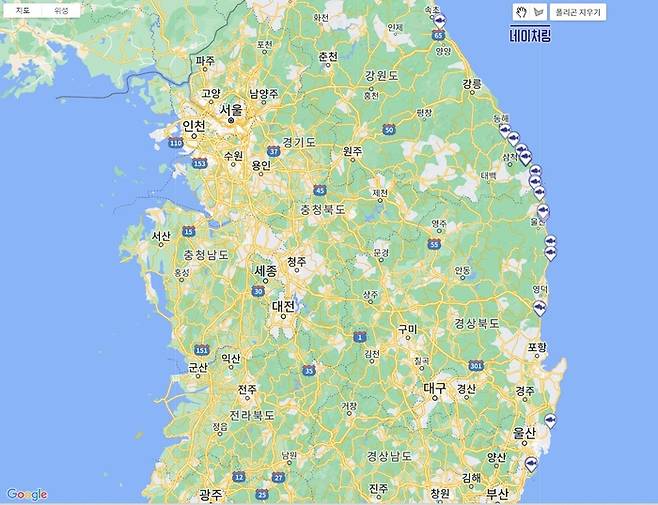 동해안 하천 3곳 중 2곳에 연어가 돌아온다