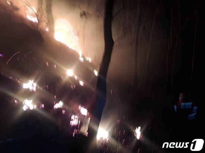 강릉 왕산면 산불 진압주택 재산피해만 약 2억 인명피해 없어종합2보