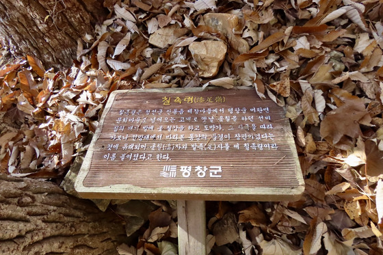 개가 고개 이름 만들었다동강 U라인 뼝대 V라인이 빚은 명승