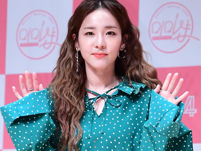 동료 연예인에게 공개적으로 대시받은 선미 삶은영화