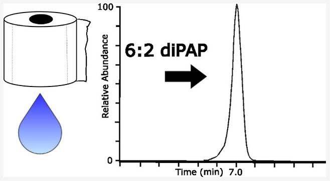 [사이테크+] "화장지 속 유해물질 PFAS로 하수 오염"…변기에 버려도 될까