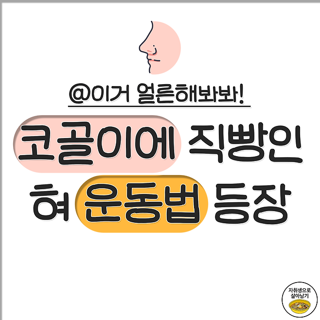 1분만 따라해도 코골이 고칠 수 있는 혀 운동 방법 자취생으로 살아남기