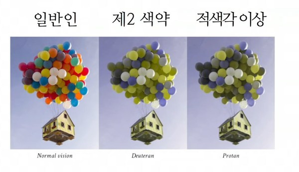 신동엽도 고백한 적록색약치료 방법 정말 없나 건강톡