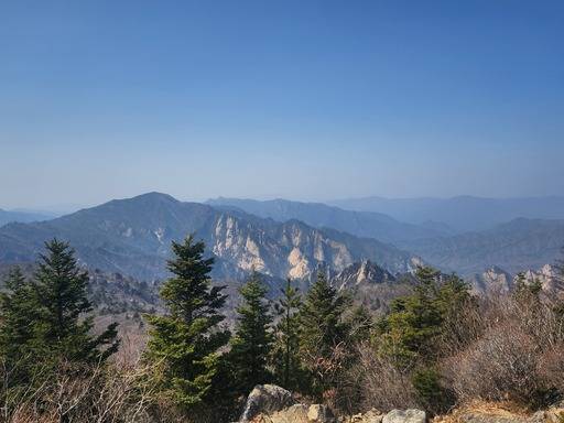 설악산 케이블카 부지 곳곳 산양 흔적공사 땐 서식지 단절