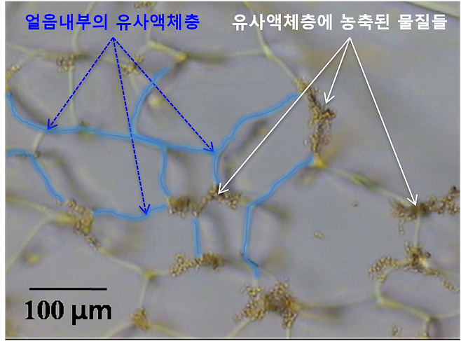 스프 얼음 종류가 20가지 얼리면 독성 물질이 사라진다고
