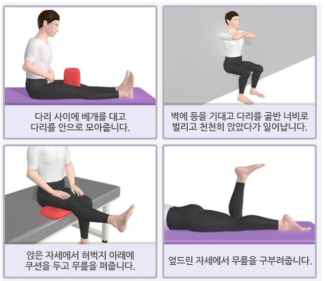 무릎 아끼는 간단 운동법 관절염은 예방이 최고