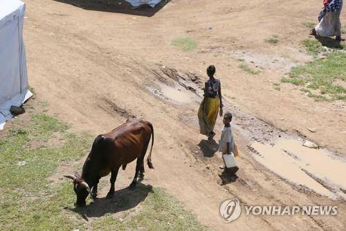 에티오피아 내전 여파 속 국제사회 식량원조 중단