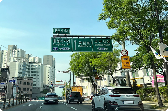안전 초록색 도로표지판이 다 초록색인 이유 마이클