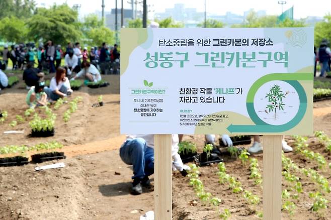 성동구 중랑천에 이산화탄소 분해 식물 심어 탄소흡수원 지속 확충”