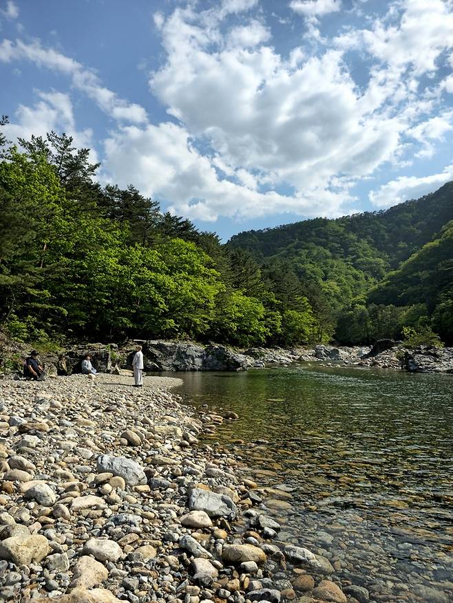 수줍은 야생화 만나는 ‘천상의 화원 인제 곰배령 트레킹 최현태 기자의 여행홀릭