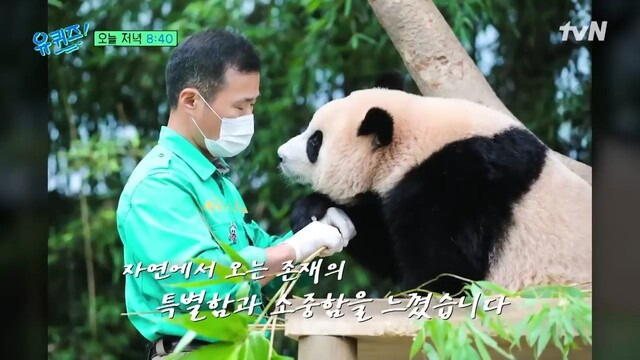 영원한 아기 판다 푸바오 할아버지는 너의 편이란다”