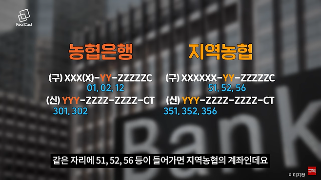 농협은행 지역농협 뭐가 다르지 리얼캐스트