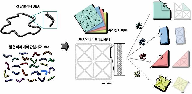 종이접기 하듯접거나 펼칠 수 있는 Dna 나노기술 탄생