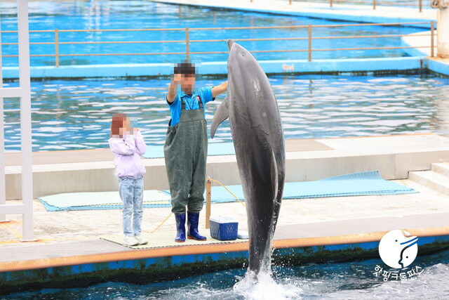 단독 ‘돌고래 무덤 거제씨월드 12번째 죽음 나왔다
