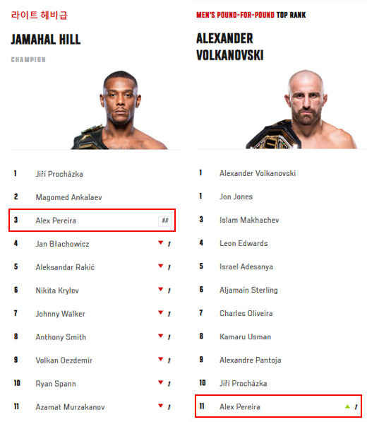 페레이라 Ufc 라이트헤비급 3위 진입 게이치↔포이리에 순위 교환