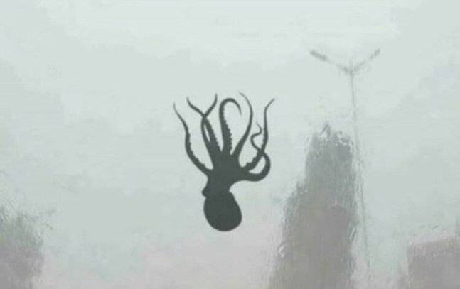 카눈 타고 날아와 83층에 붙은 문어”태풍 피해 아닌 ‘가짜사진