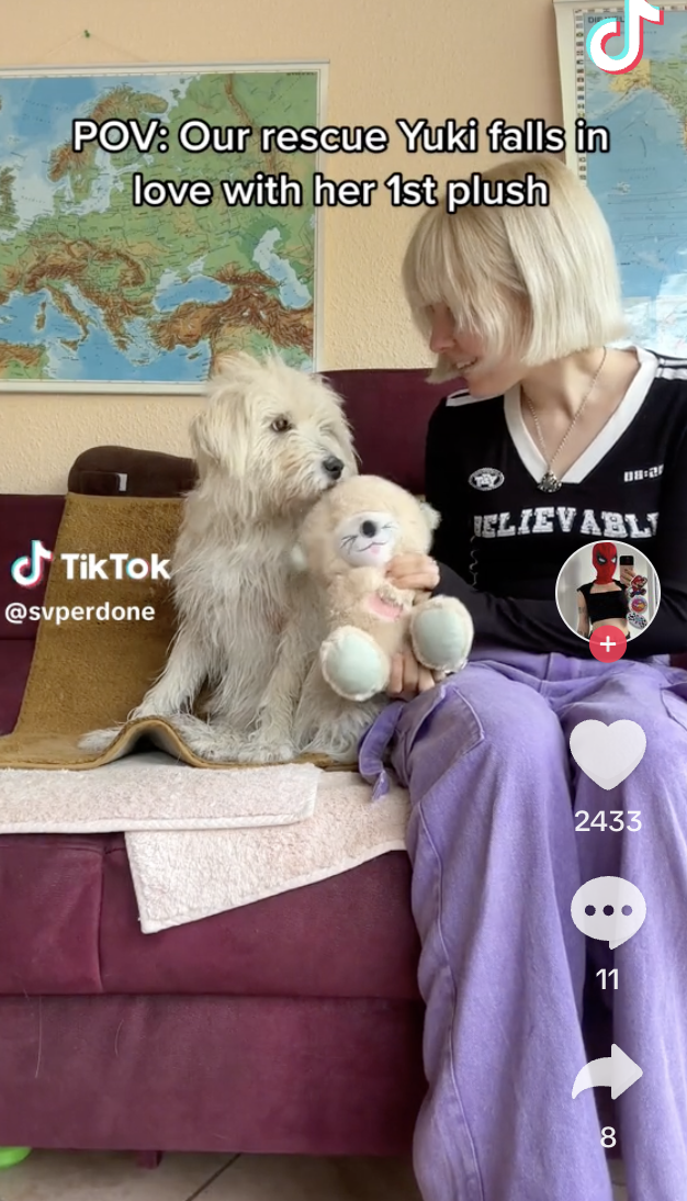 8년 동안 묶여 살며 학대받았던 개는, 극적으로 구조 후 첫 장난감을 선물 받습니다. | koreadognews