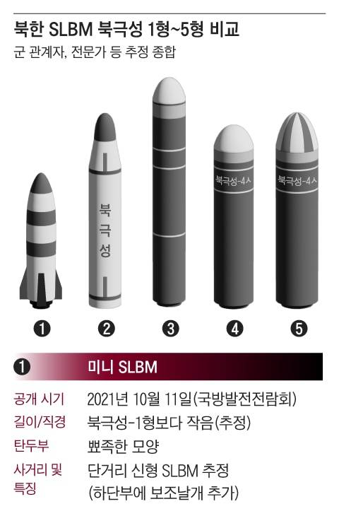 北 신형 잠수함, 美항모 공격 ‘핵 어뢰’ 탑재할듯...SLBM 발사관 10개 포착