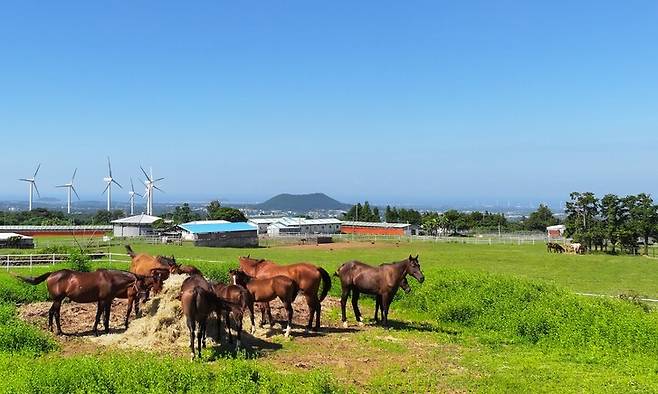 낮과 밤 15도 벌어진다 가을 나들이 겉옷 필수