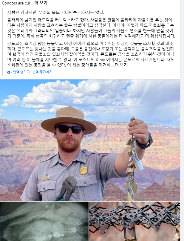 사랑의 자물쇠 이제 그만인생 관광지 이곳에 살벌한 사진 한장이 올라온 이유 여행톡톡