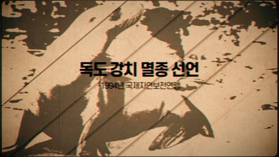오늘 독도의 날서경덕 교수 멸종된 강치 역사 널리 알릴 것