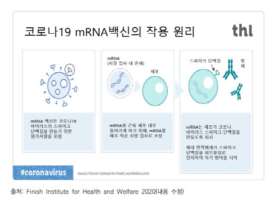 `mrna` 코로나·독감 이어 암까지 정복 나선다