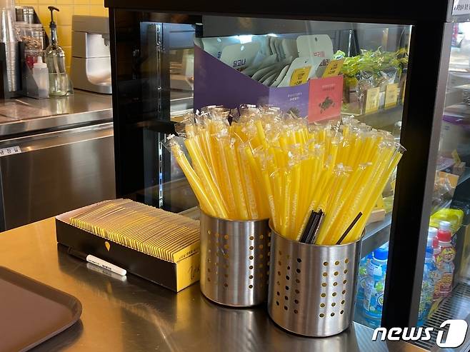 일회용품 계도기간 연장에 한숨 돌린 소상공인걱정은 여전
