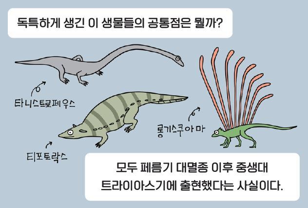 대멸종 이후 희귀한 생물이 많아진 이유사인은 이것 무작정 따라하기