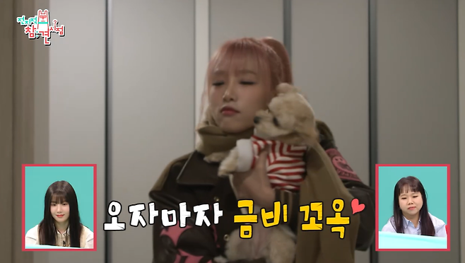 장원영 닮은 강아지 키우는 권은비 에브리원해