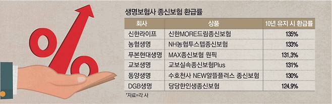 보험료 135 돌려드려요”너도나도 환급률 올리는 종신보험 왜