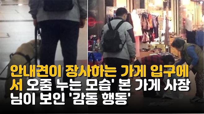 쓰레기 찾으면 물고와 말했더니 잠시후 돌고래가 찾아 온 이것의 정체 애니멀 플래닛