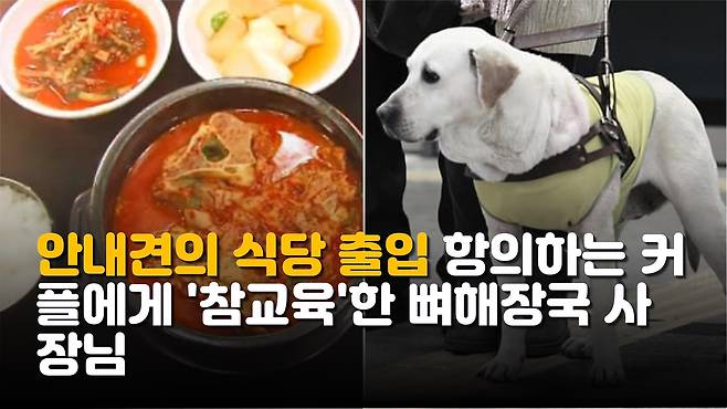 깜깜한 방 무섭다고 울던 딸이 갑자기 조용하길래 가봤더니 애니멀 플래닛