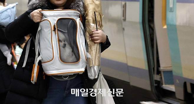 포토 견공귀성