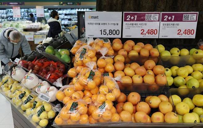 ‘과일 금값 시대 제철 감귤·딸기 밀어낸 수입 오렌지