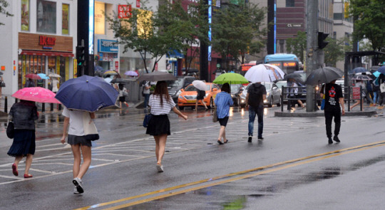 왕복 8차로 무단횡단하던 행인 사망 버스 기사 무죄