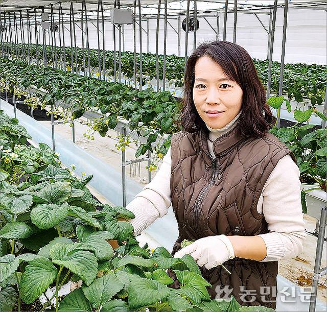 귀농인 성공 도전기 수험생처럼 철저히 준비 보급형 스마트팜 구축”