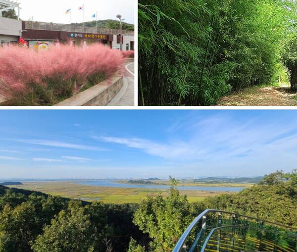 안산 여행코스 추천 안산 가볼만한 곳 Best 7 숨은 명소 당일치기 여행톡톡