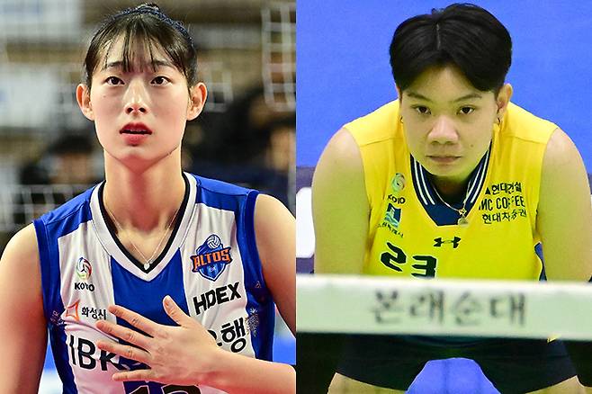 4위 기회 잡은 Ibk기업은행현대건설도 갈 길 바쁘다