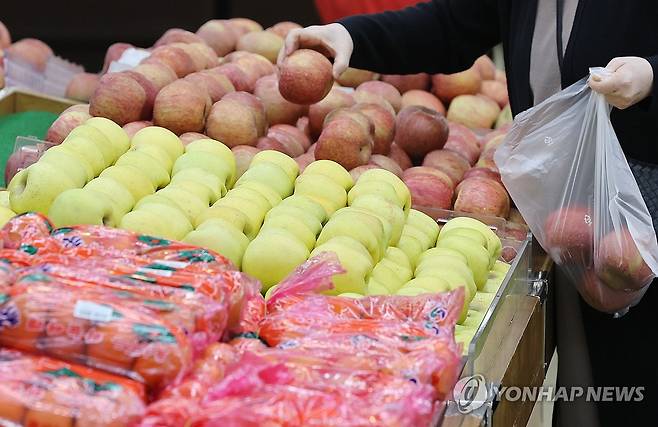 추석 전까지 금사과정부 사과·배값 햇과일 전까지 강세종합