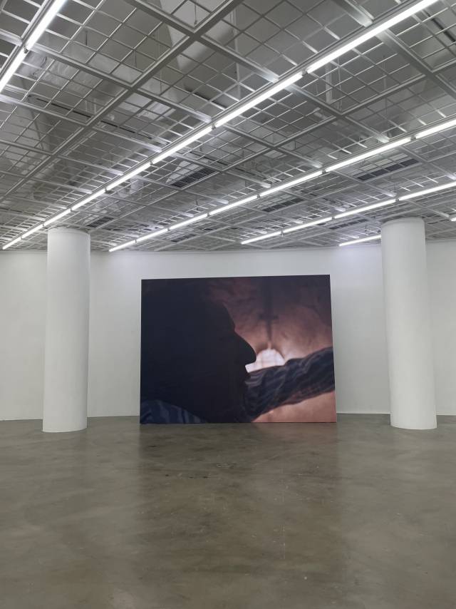 인간의 상상에는 상한선이 없다···마티스·놀데와 떠나는 상상 여행