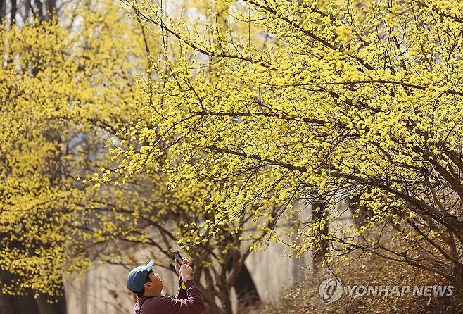 월요일 아침 내륙 0도 내외 꽃샘추위전국 대기 건조