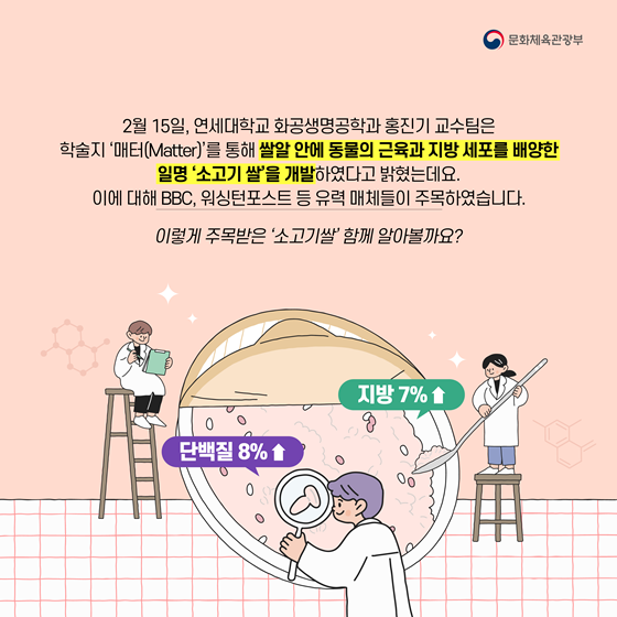 한국 연구진이 개발한 소고기쌀친환경적이고 경제적인 대체식품