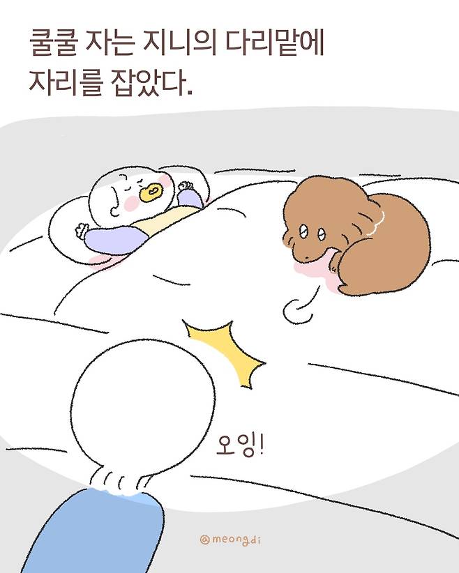 아기가 무서울까 봐 같이 자주는 강아지 키니일기