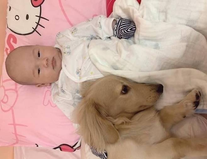 칭얼거리는 아기 달래고 재우려 침대에 올라갔다 자기가 먼저 잠들어 버린 강아지 애니멀 플래닛