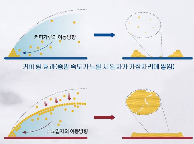 조용히 차 따르려면커피와 차의 과학