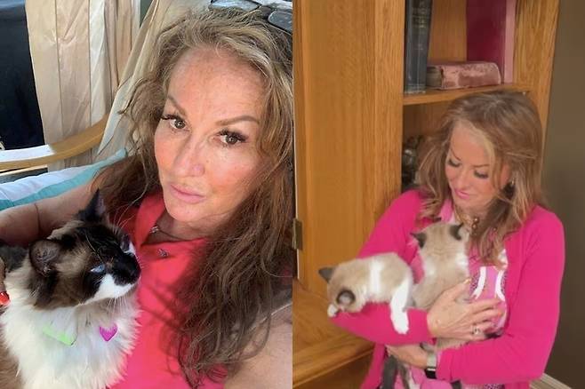 죽은 반려묘 그리워” 6700만원으로 복제 고양이 2마리 만든 주인