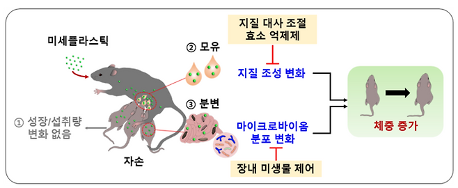 초미세플라스틱 섞인 모유 자녀 비만 유발한다