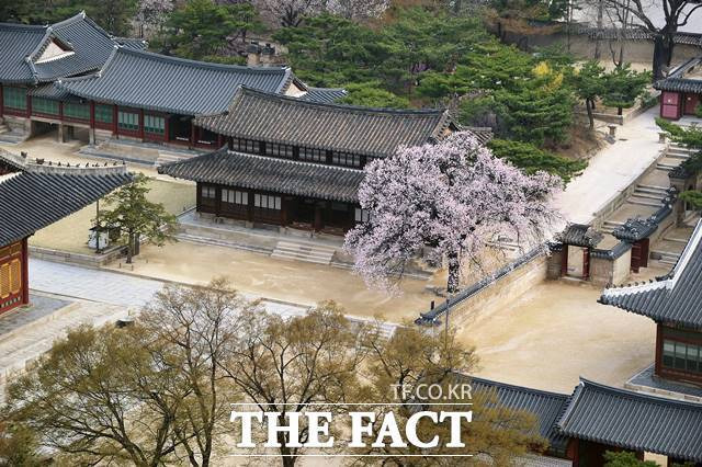 서울 도심 전망명소 정동전망대 평일에도 확대 개방