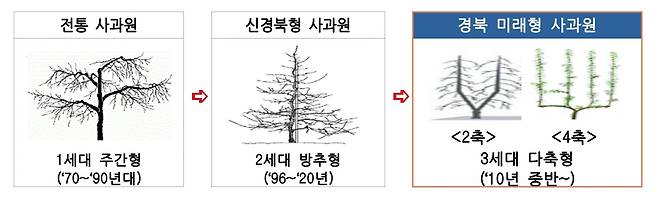 경북도 다축형 사과 재배 확대생산 구조 변화 선도